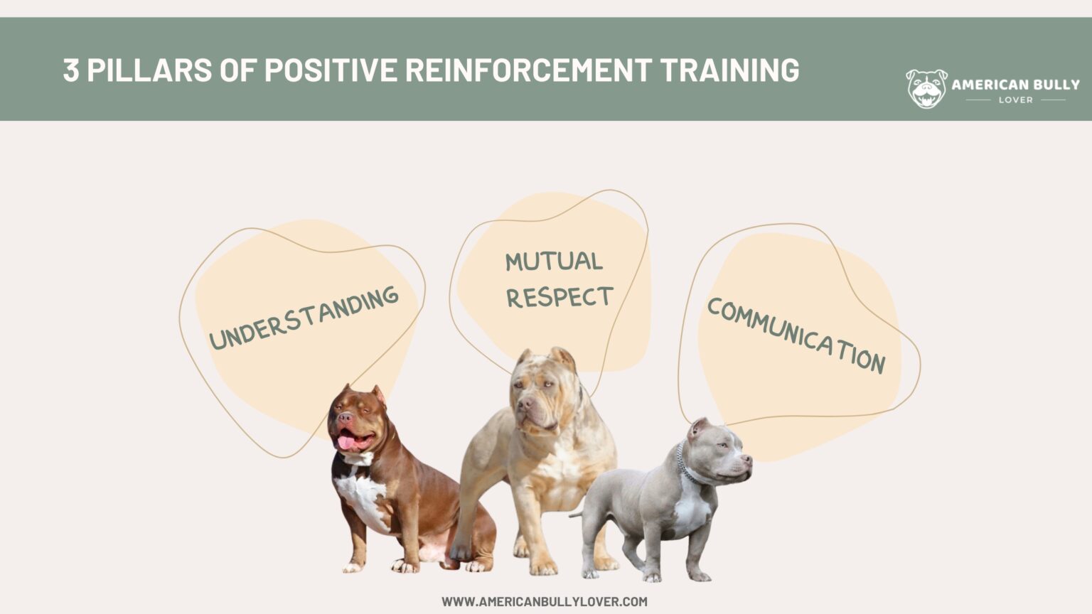 Positive Reinforcement: The Most Effective Training Method for Your ...